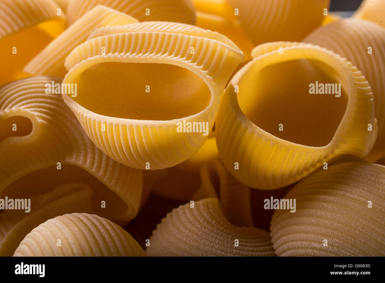 Lumaconi (big slugs) pasta from southern Italy tradition - macro detail ...