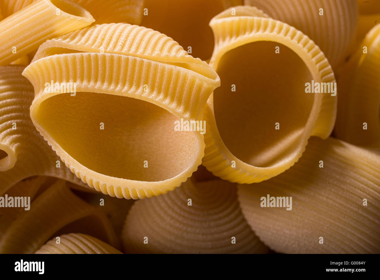 Lumaconi (big slugs) pasta from southern Italy tradition - macro detail ...