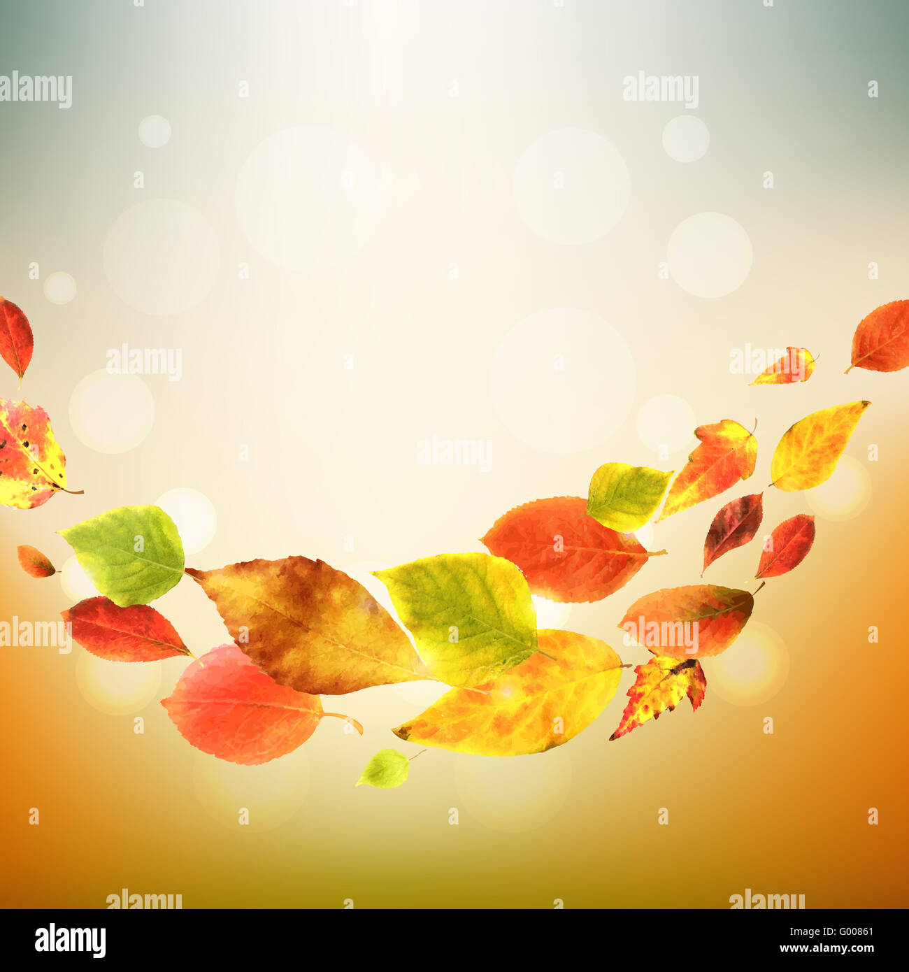 Autumn leaves border hi-res stock photography and images - Alamy