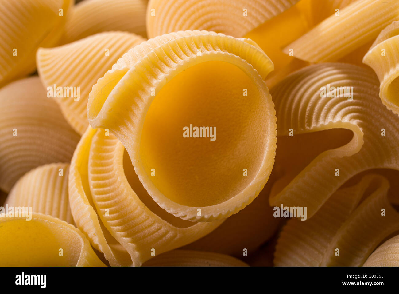 Lumaconi (big slugs) pasta from southern Italy tradition - macro detail ...