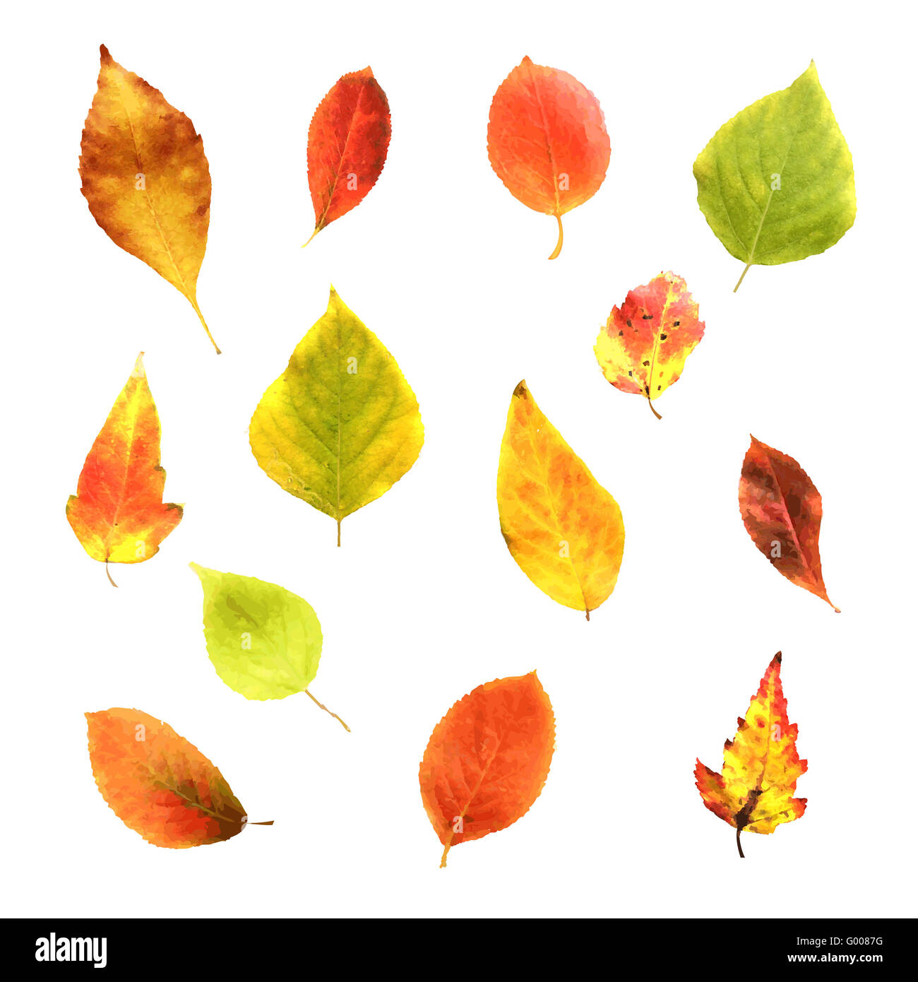 Big Set Leaves Stock Photo - Alamy