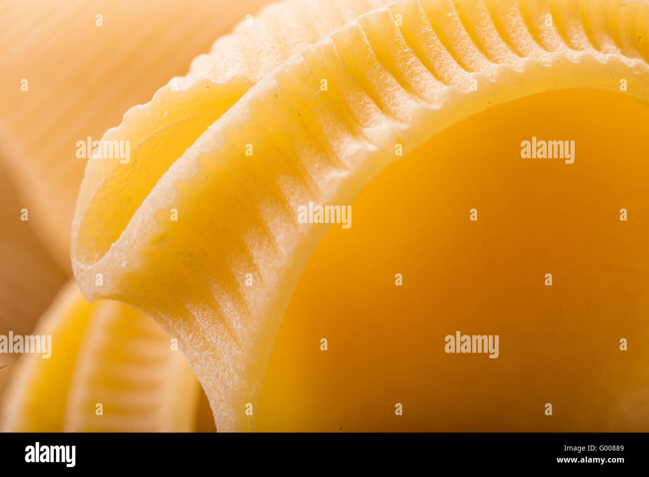 Lumaconi (big slugs) pasta from southern Italy tradition - macro detail ...