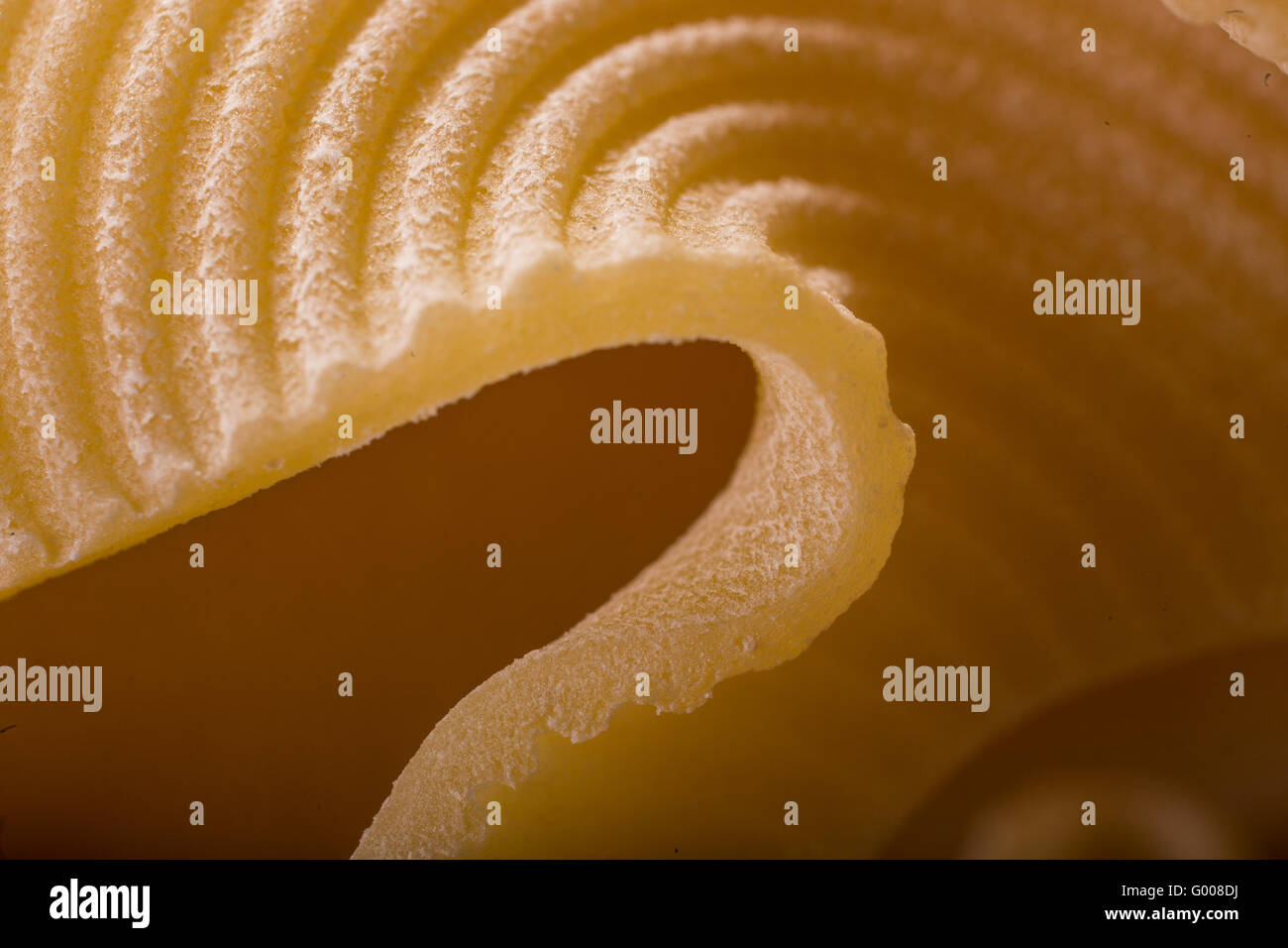 Lumaconi (big slugs) pasta from southern Italy tradition - macro detail ...