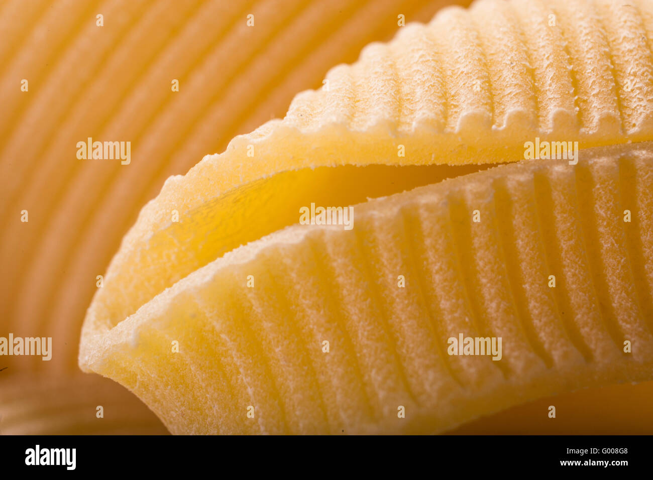 Lumaconi (big slugs) pasta from southern Italy tradition - macro detail ...