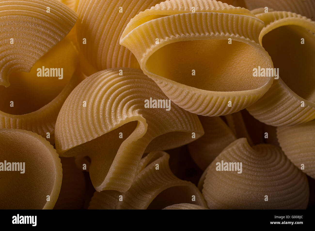 Lumaconi (big slugs) pasta from southern Italy tradition - macro detail ...