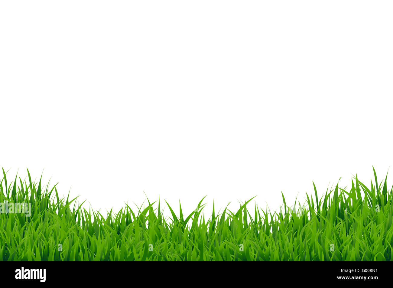 Green Grass Border Stock Photo - Alamy