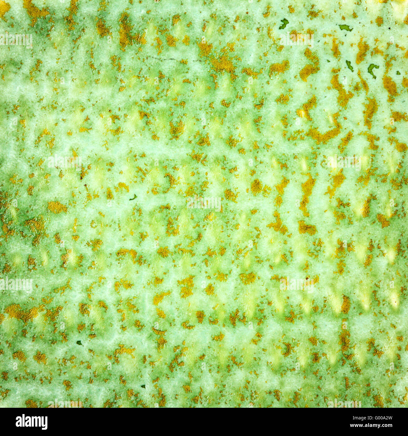 Green dotted line wallpaper hi-res stock photography and images - Alamy
