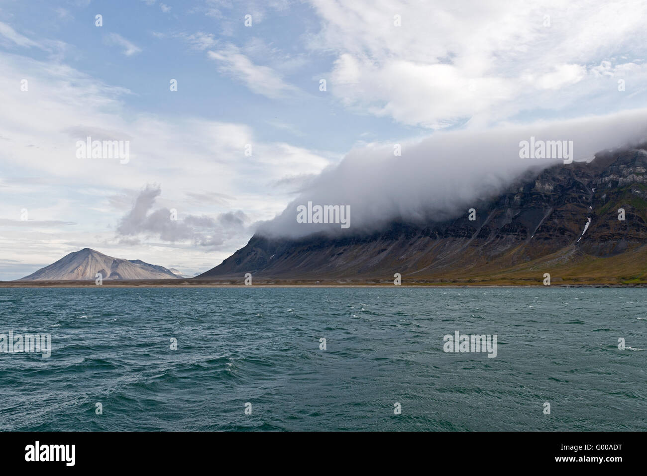 Looking back at the Little Auk and Brunnich's Guillemot colonies on the ...