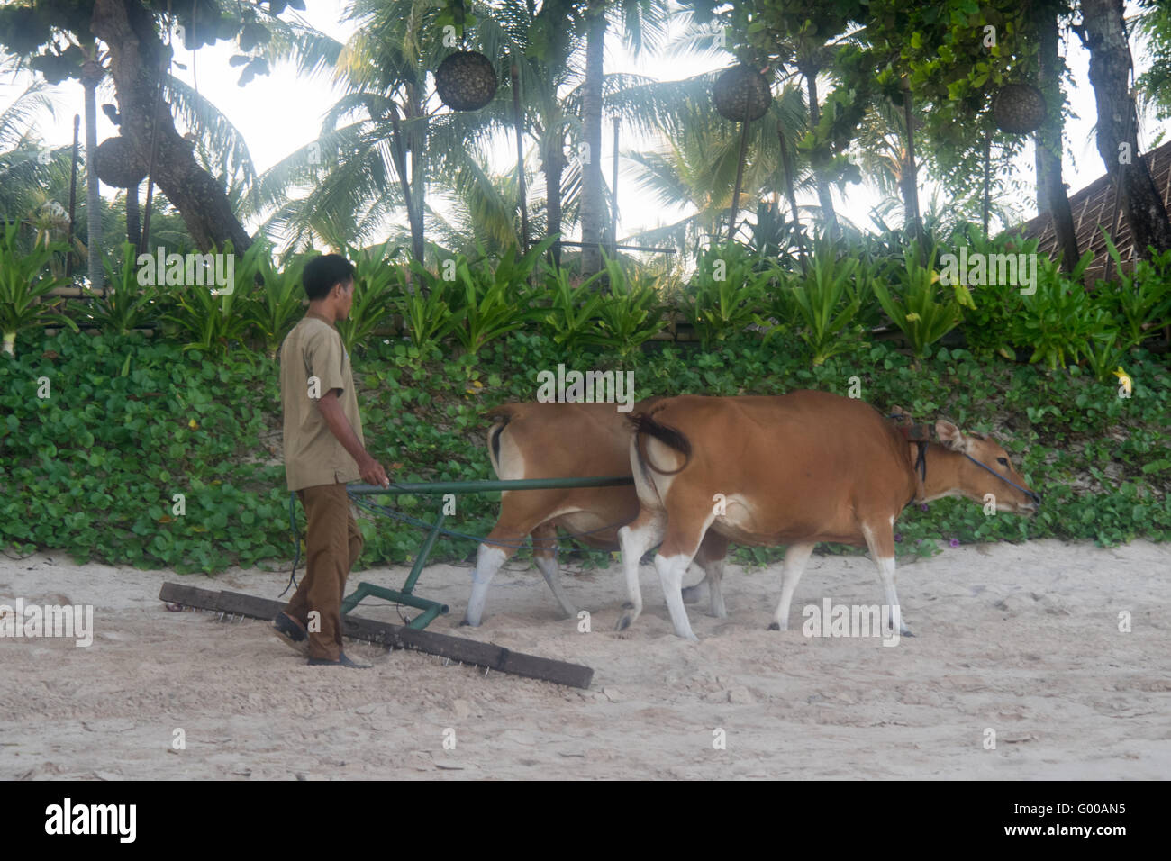 Man sweeping beach hi-res stock photography and images - Alamy