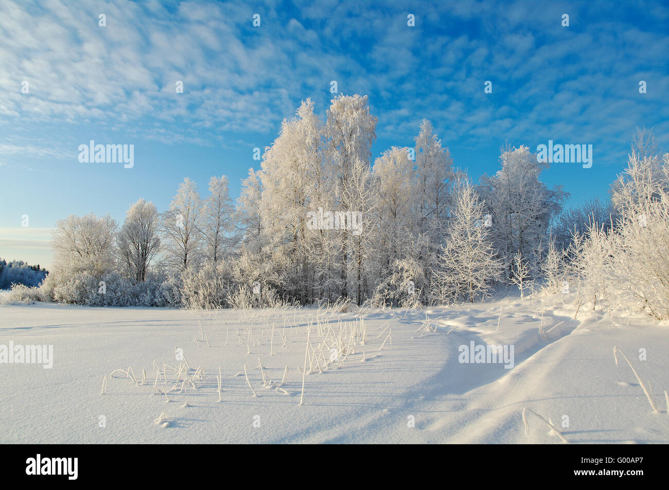 Winter season landscape scene hi-res stock photography and images - Alamy