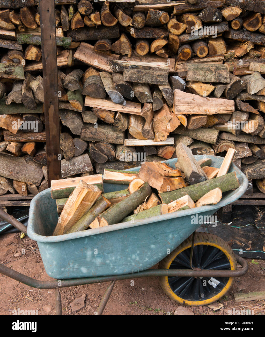 A wheelbarrow of logs next to a log store Stock Photo - Alamy