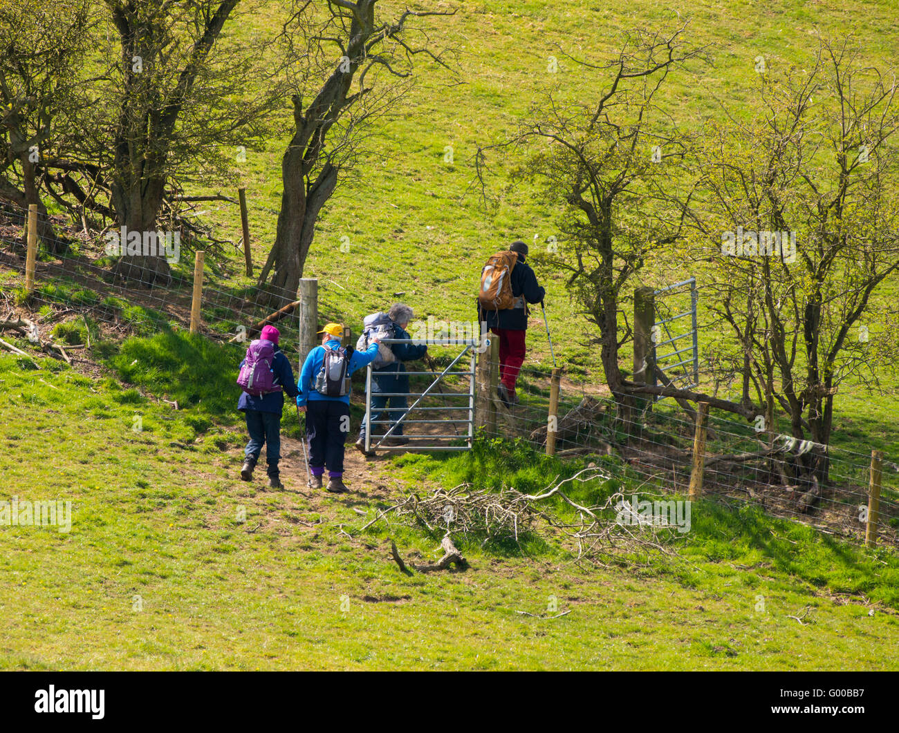 Walking field fitness hi-res stock photography and images - Alamy