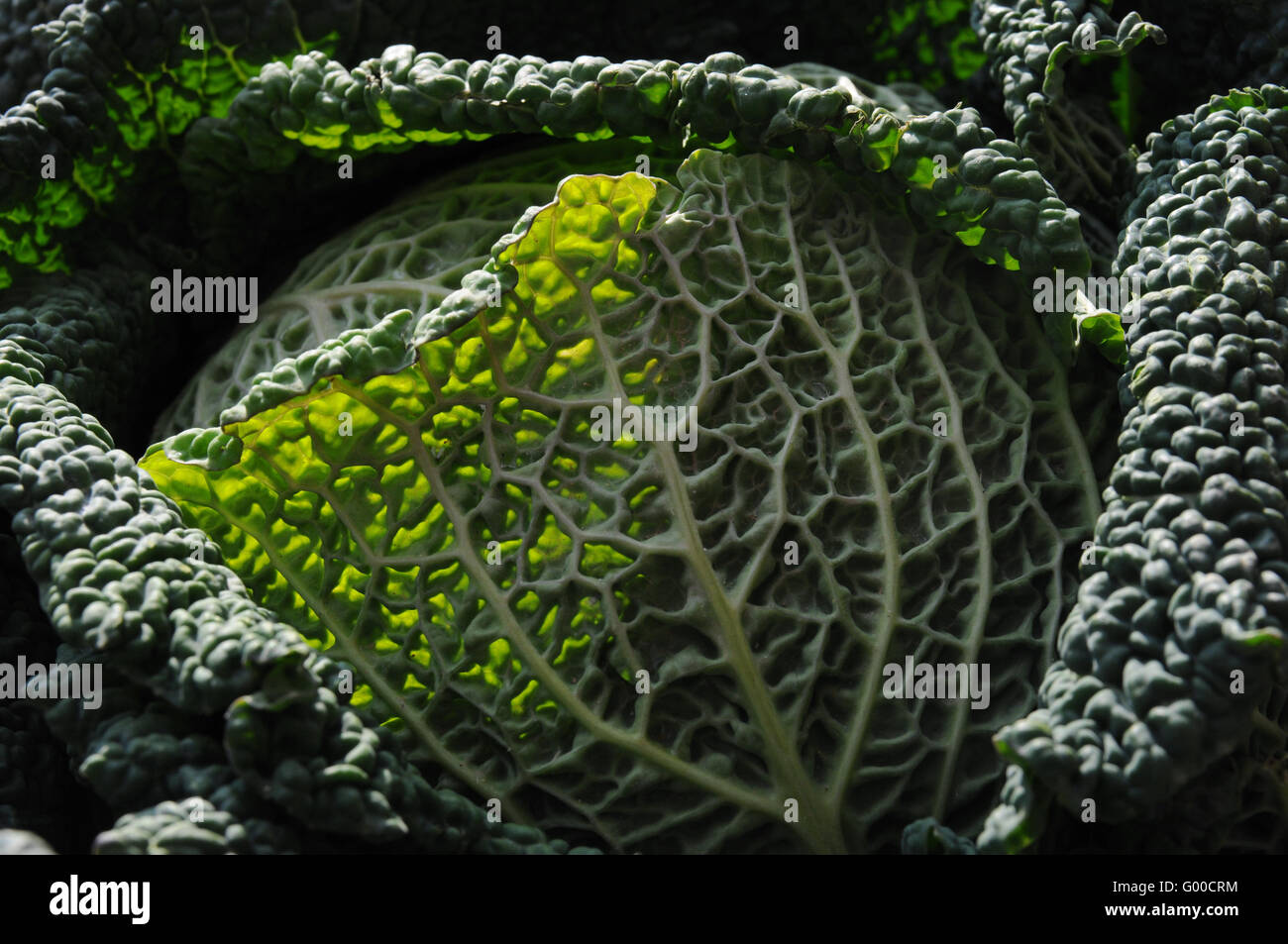 Naturalanbau hi-res stock photography and images - Alamy