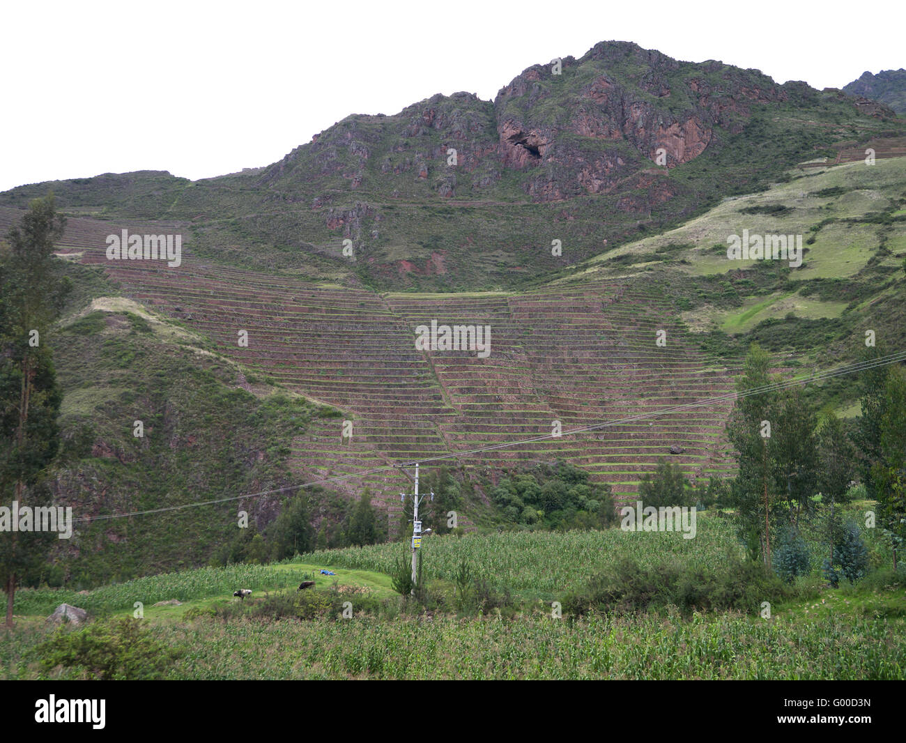 Inca terraces in Peru on road between Sucre and Cusco Sacred Valley ...