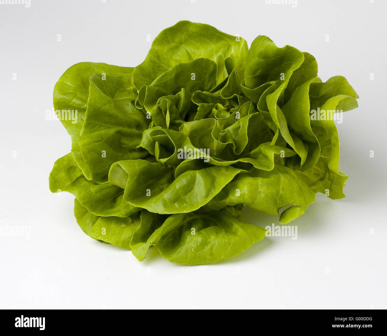 Num num fruit hi-res stock photography and images - Alamy