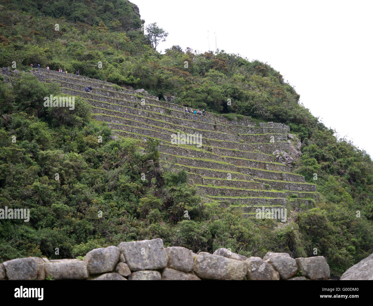 Inca terraces hi-res stock photography and images - Alamy