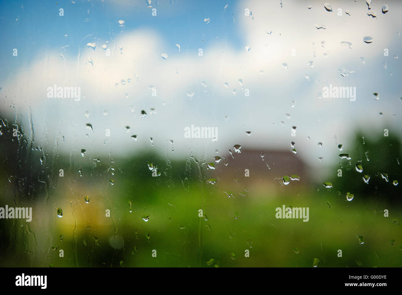 Rain refreshed hi-res stock photography and images - Alamy