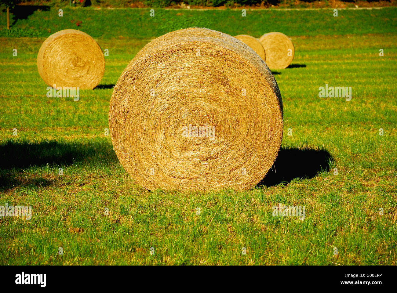 Bays of hay hi-res stock photography and images - Alamy