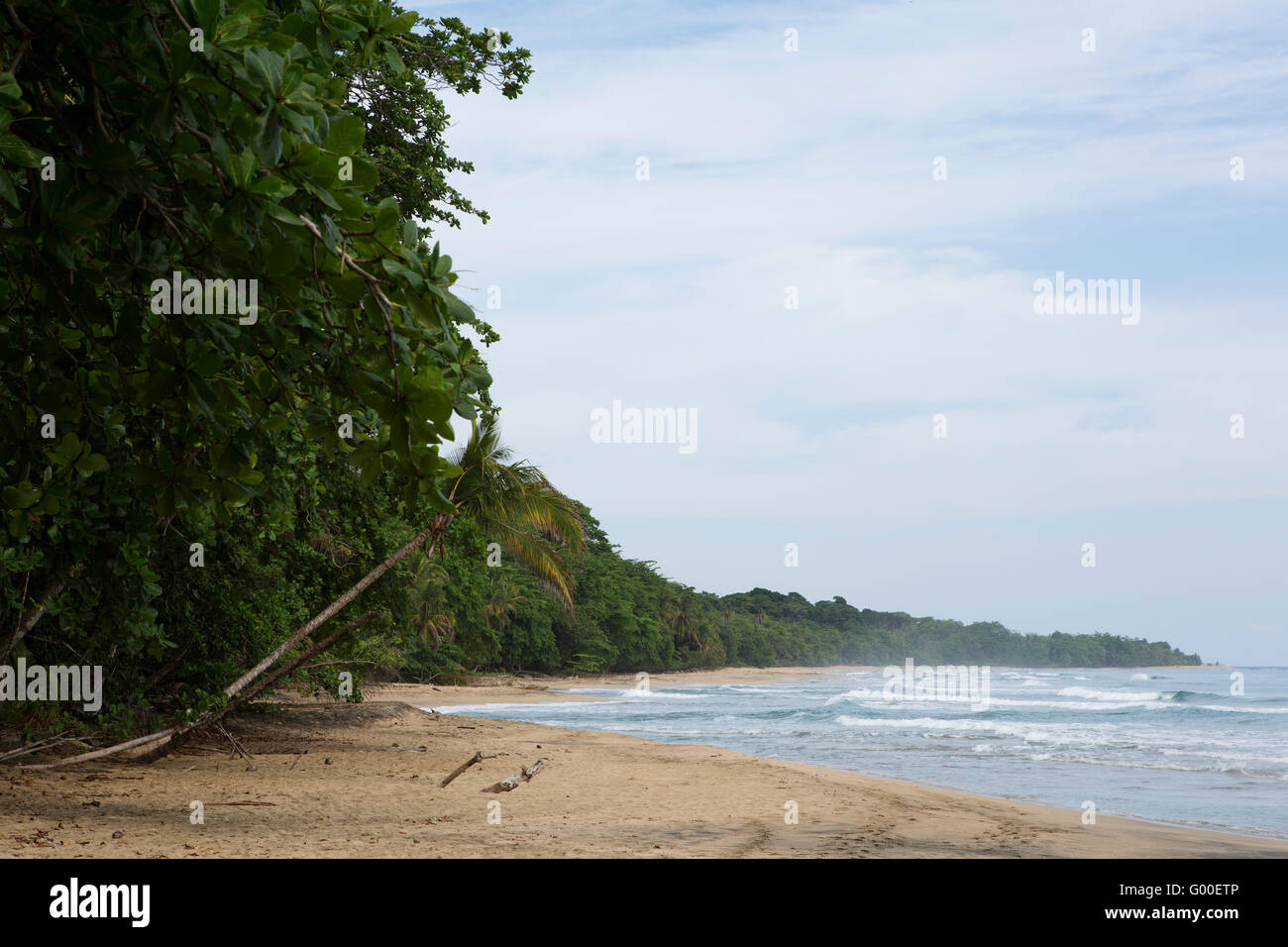 Manzanillo Beach in Costa Rica. The beach is near Puerto Viejo in the ...