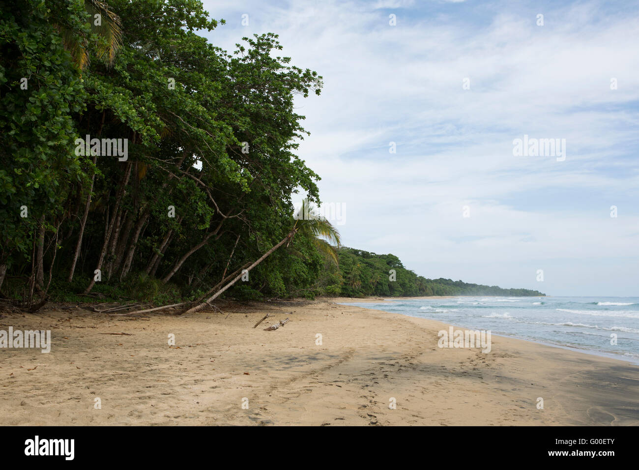 Manzanillo Beach in Costa Rica. The beach is near Puerto Viejo in the ...