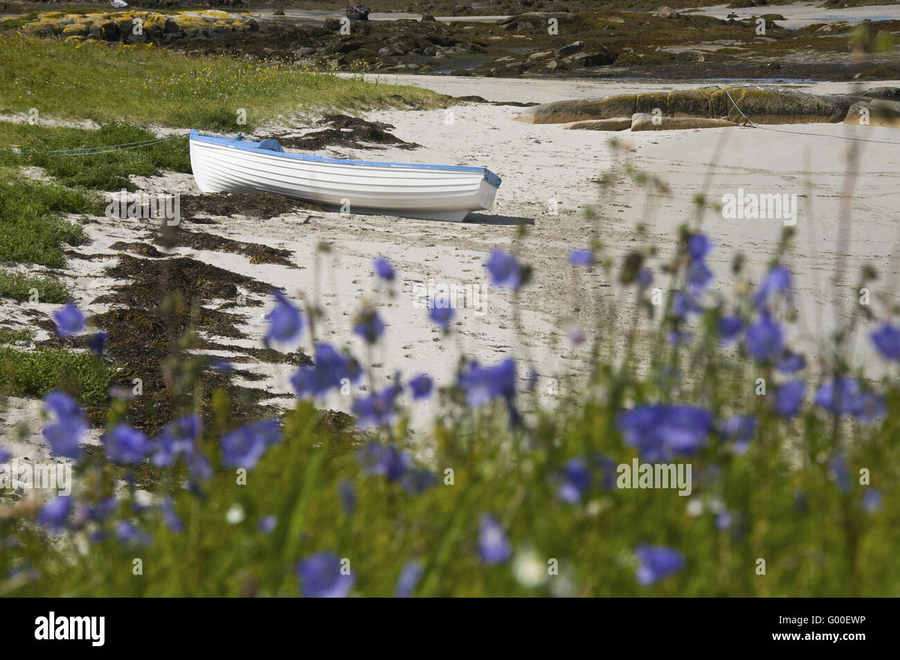 White rowboat on the beach Stock Photo - Alamy