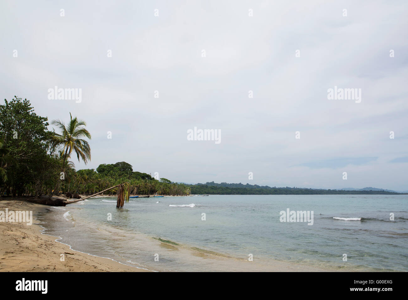 Manzanillo Beach in Costa Rica. The Caribbean Sea laps against the ...