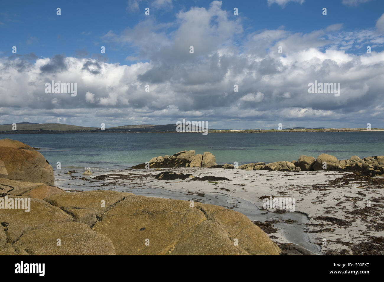 Irish lichen hi-res stock photography and images - Alamy