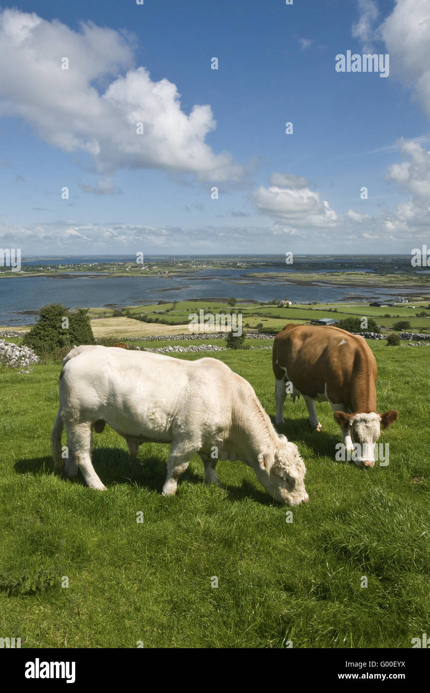 Wolke burren hi-res stock photography and images - Alamy