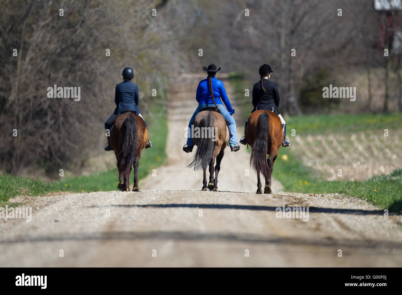 Three women riding away on horses on a country road Stock Photo - Alamy