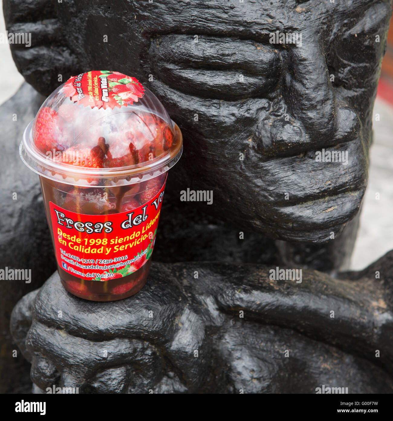 Fresh strawberries smothered in chocolate sauce and served at a ...