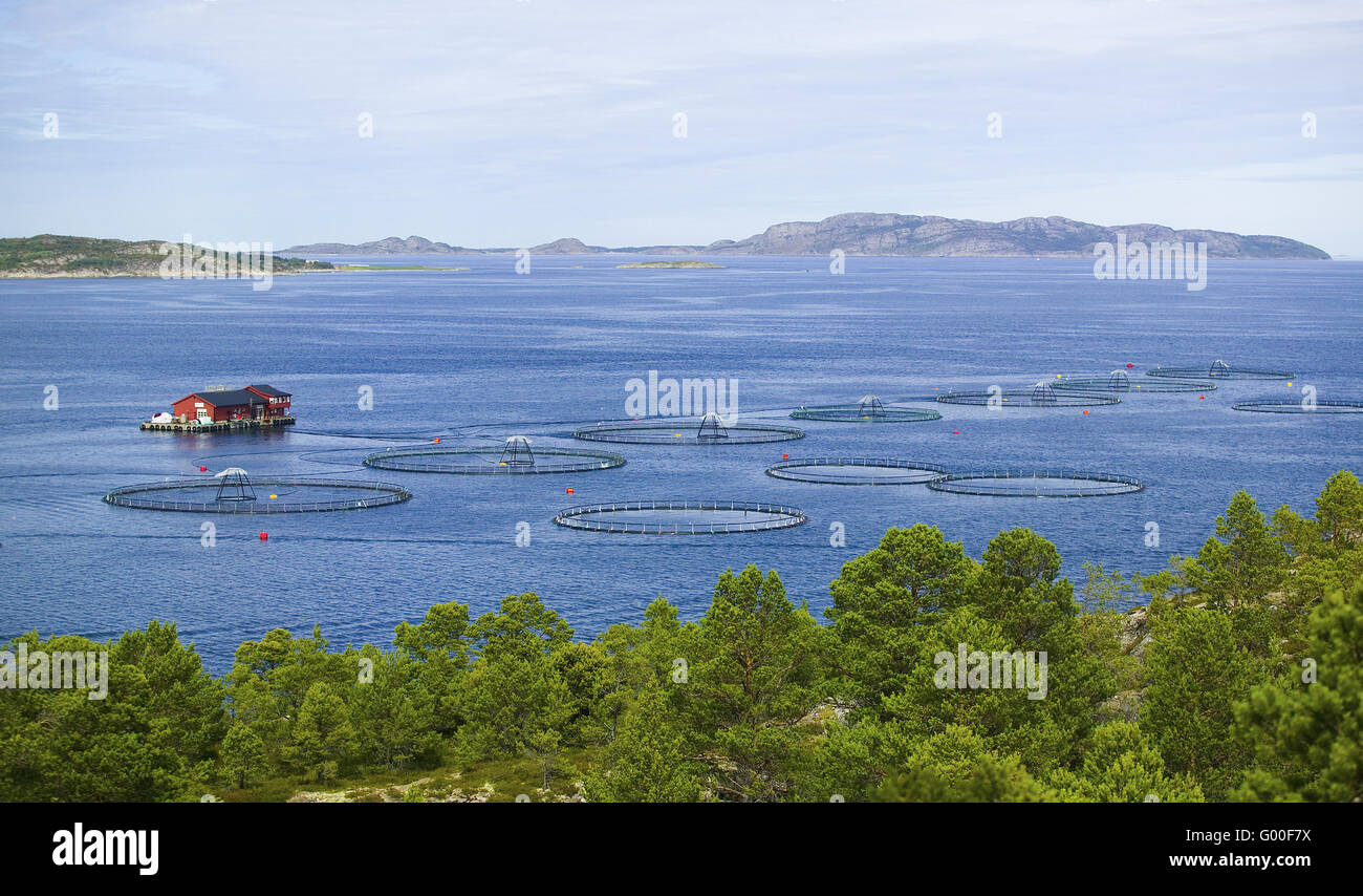fish farm, Norway Stock Photo - Alamy
