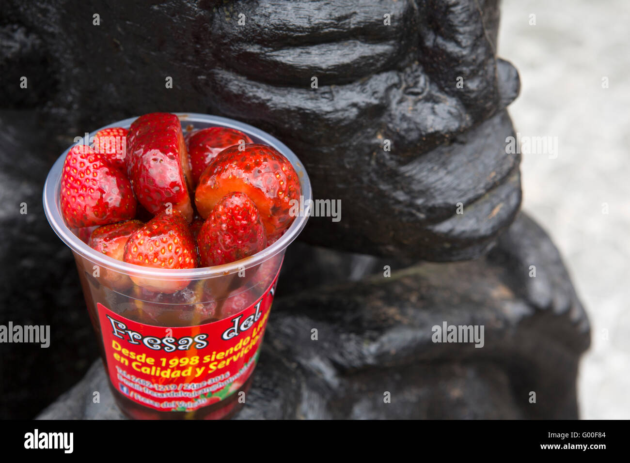 Fresh strawberries smothered in chocolate sauce and served at a ...