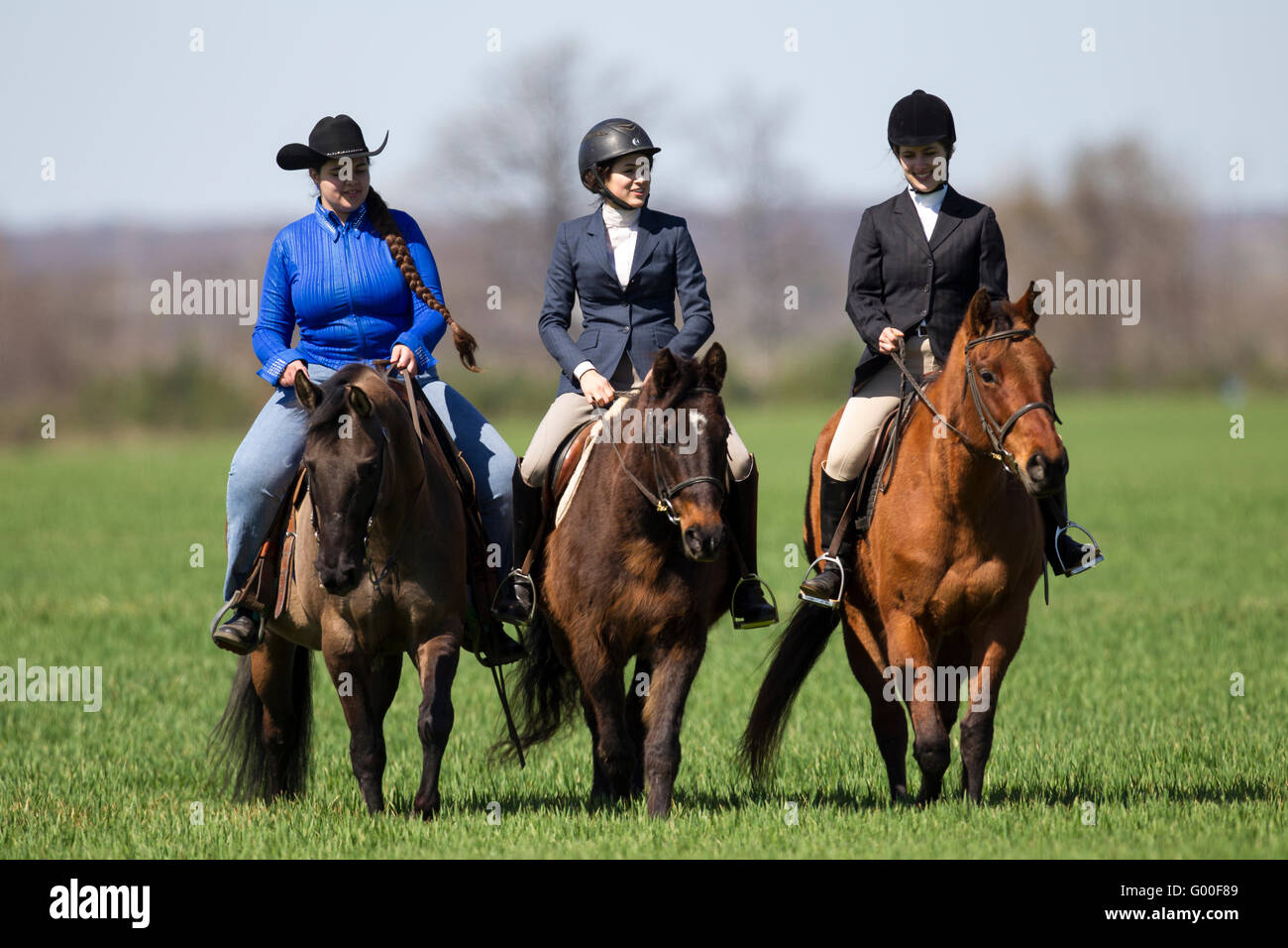 Three women riding horses together across a field Stock Photo - Alamy