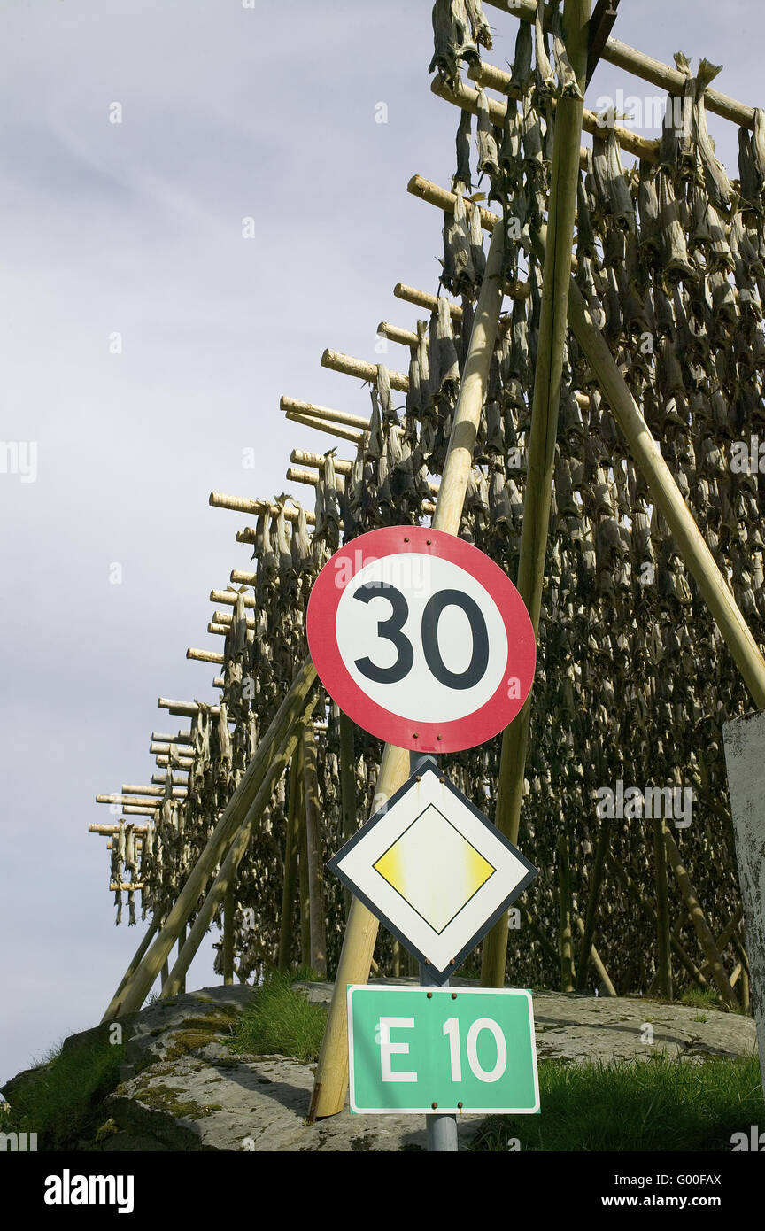 Dorsch cod hi-res stock photography and images - Alamy