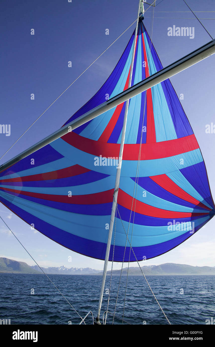 sailing with spinaker Stock Photo - Alamy