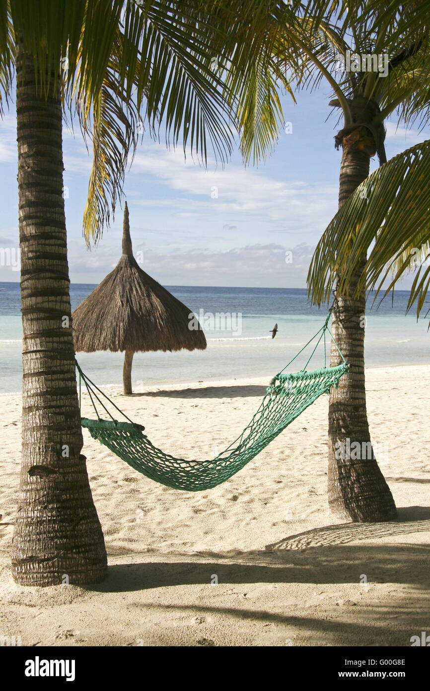 Beach on Bohol - Philippines Stock Photo - Alamy