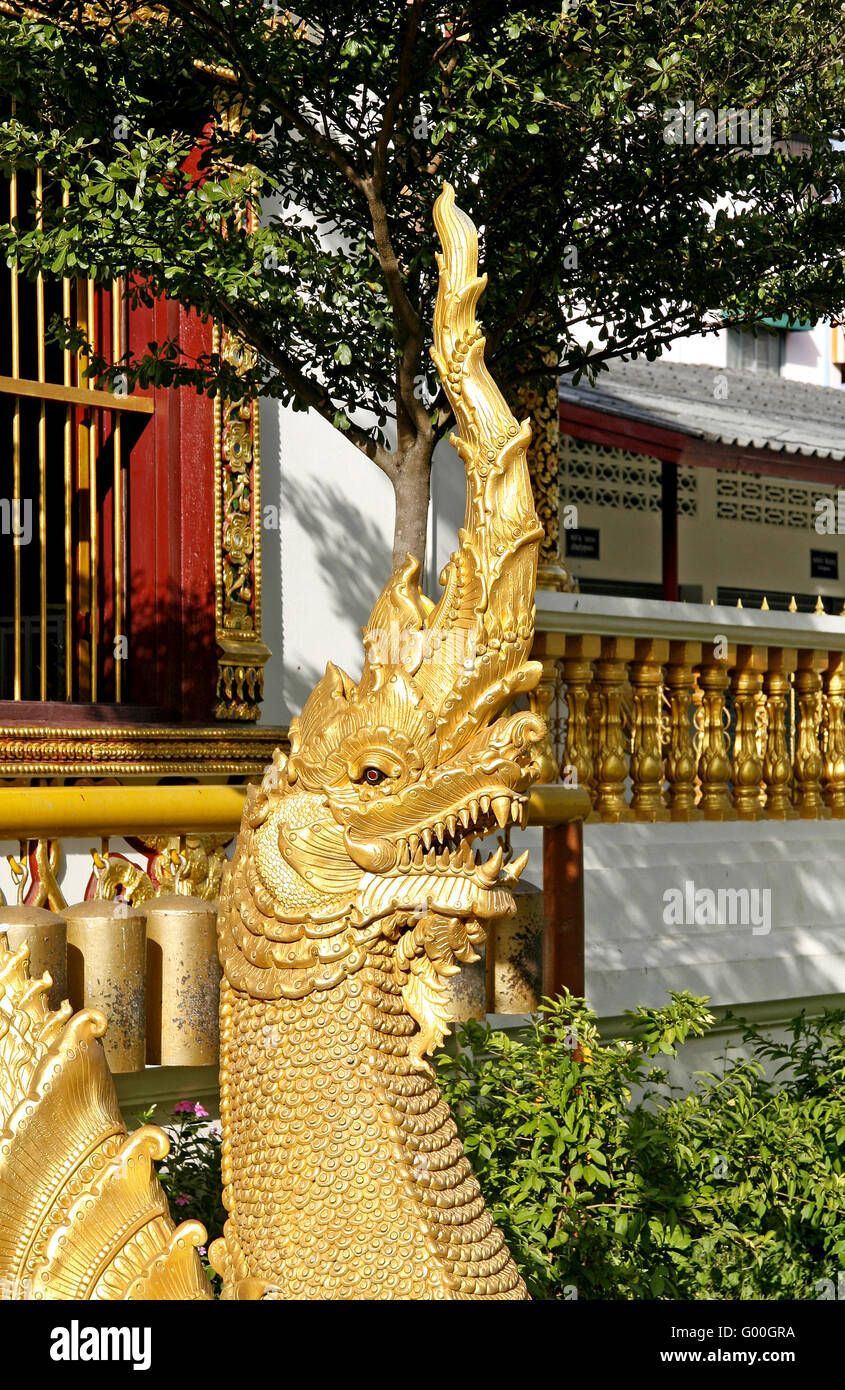 Reptil symbol hi-res stock photography and images - Alamy