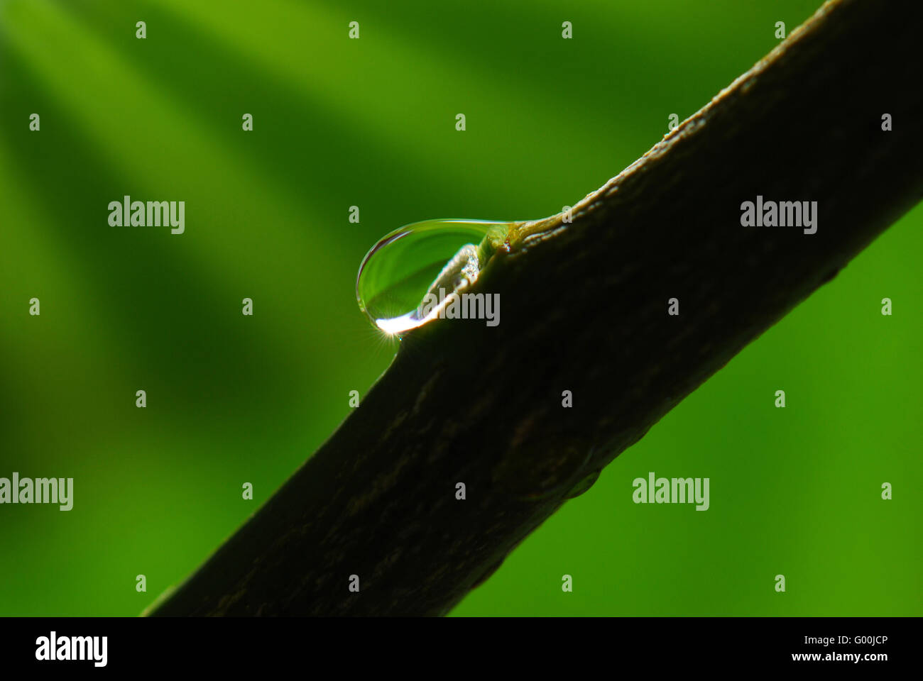 Tropfen wassertropfen hi-res stock photography and images - Alamy