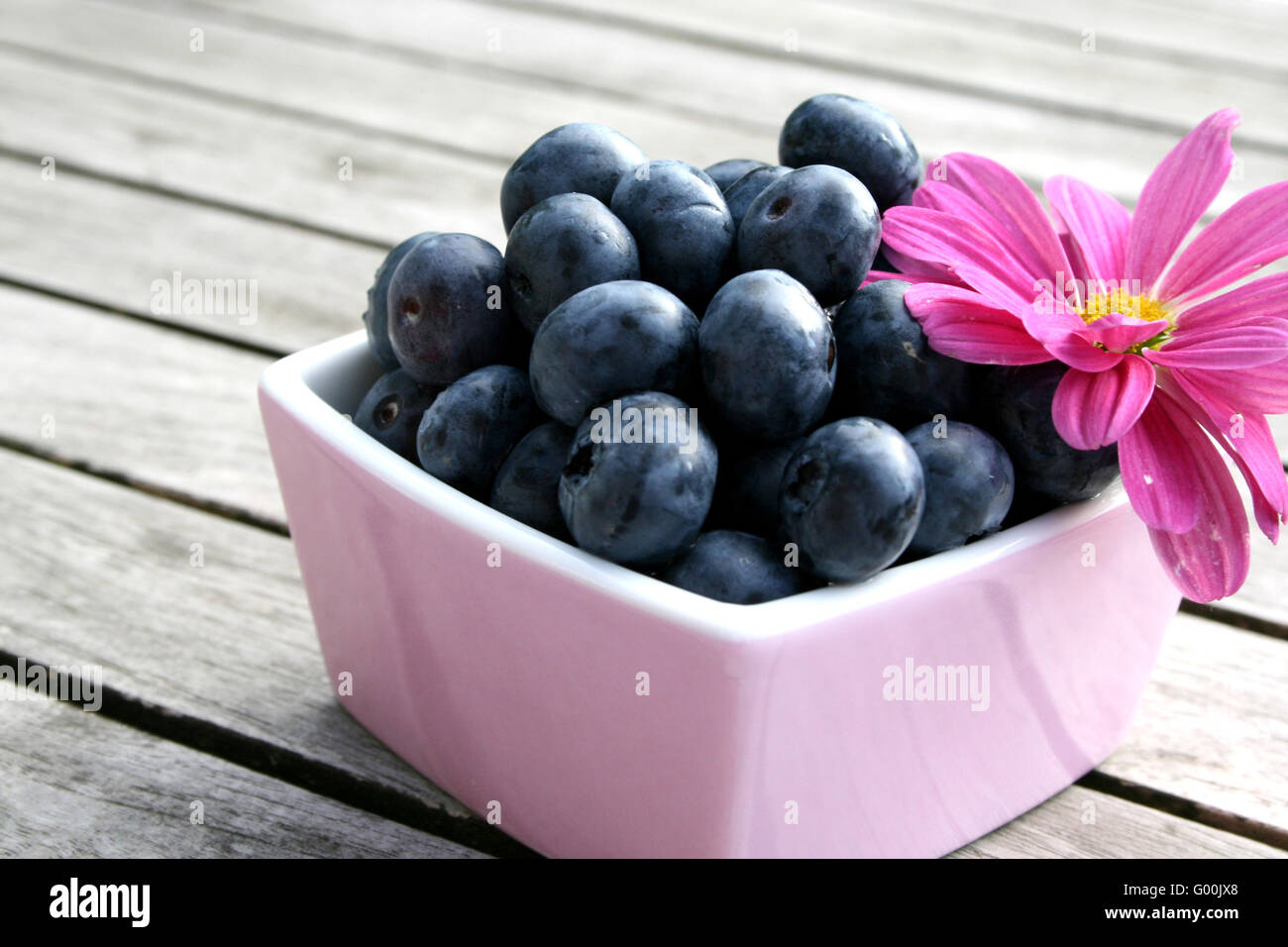 Blue rose blueberry hi-res stock photography and images - Alamy