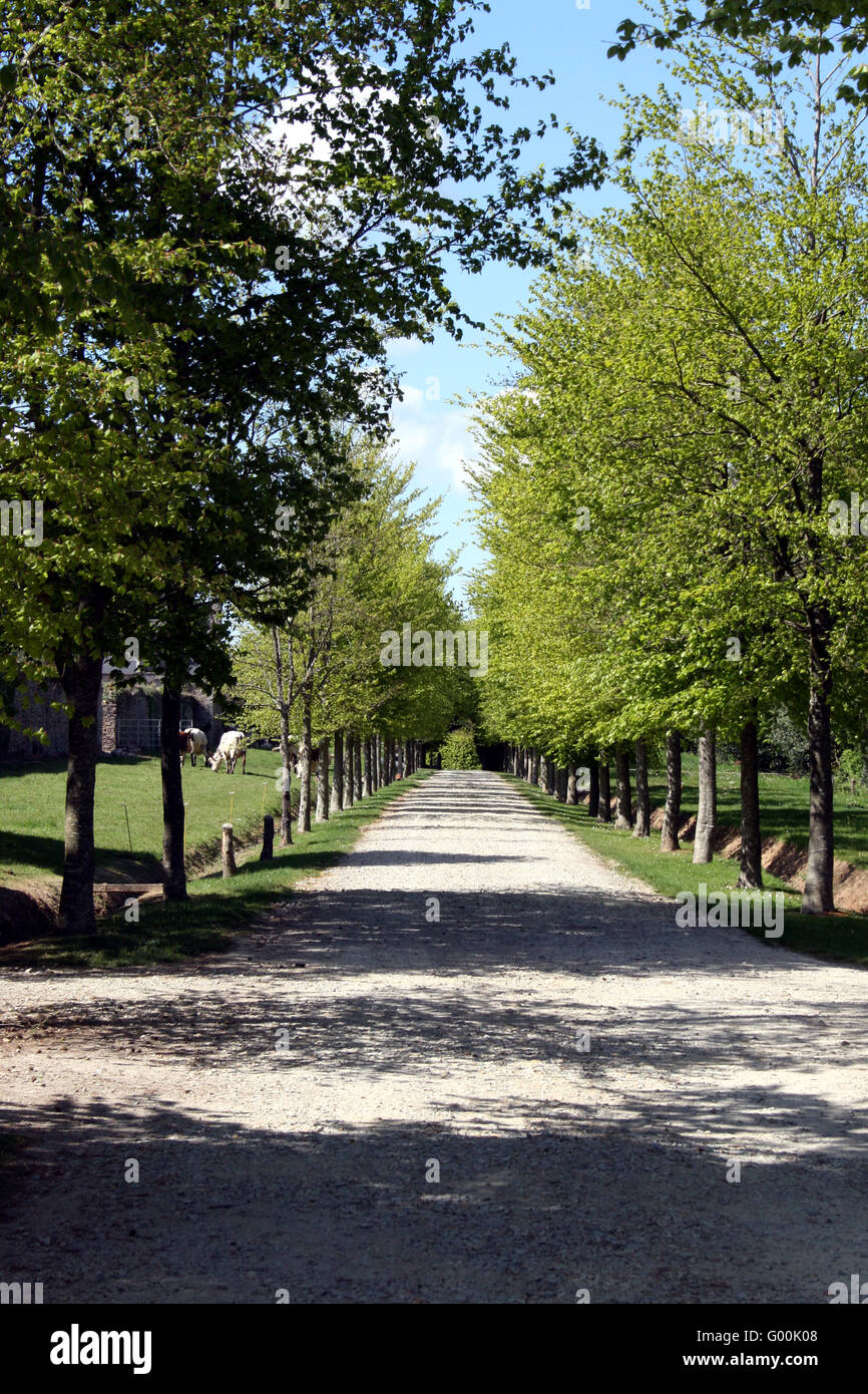 Schlossallee avenue hi-res stock photography and images - Alamy