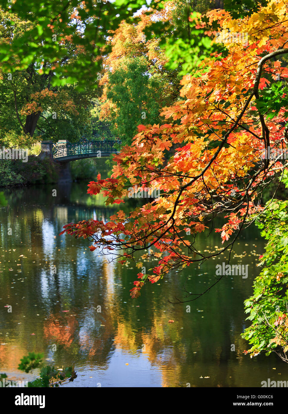 Autumn scene in a city Stock Photo - Alamy