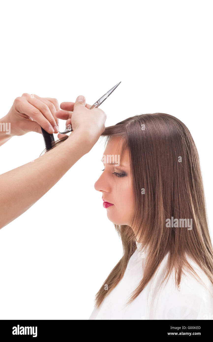 Professional hairdresser with long hair model Stock Photo - Alamy