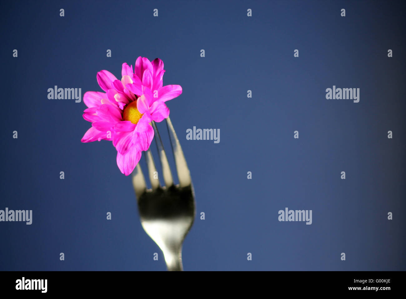 Flower and fork Stock Photo - Alamy