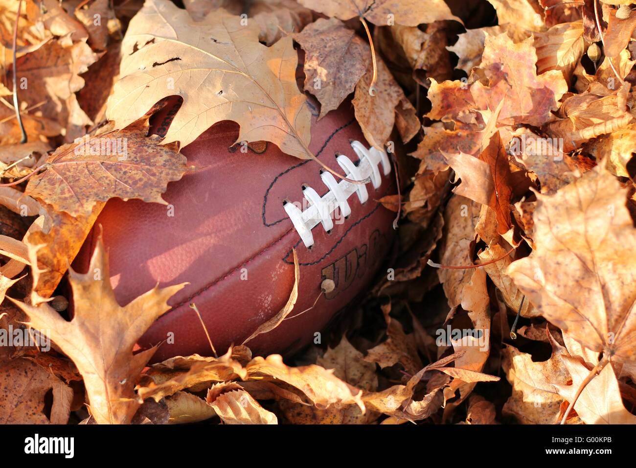 Football in the leaves Stock Photo - Alamy