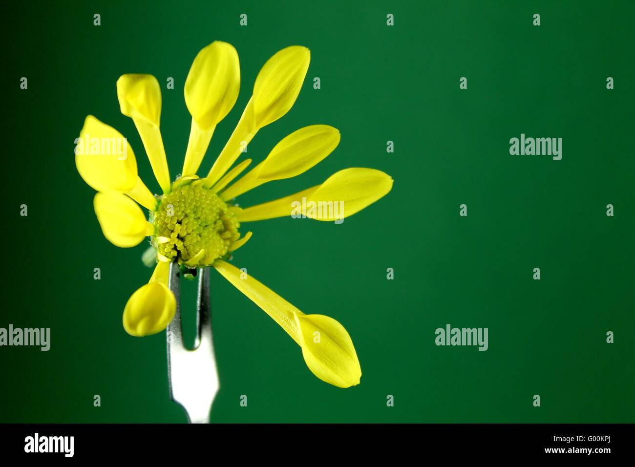 Flower fork hi-res stock photography and images - Alamy