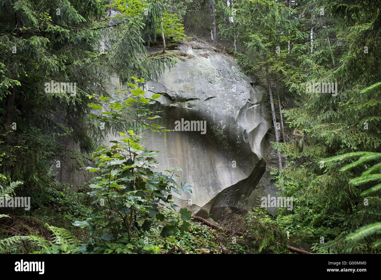 the rock in a thicket among greens Stock Photo - Alamy