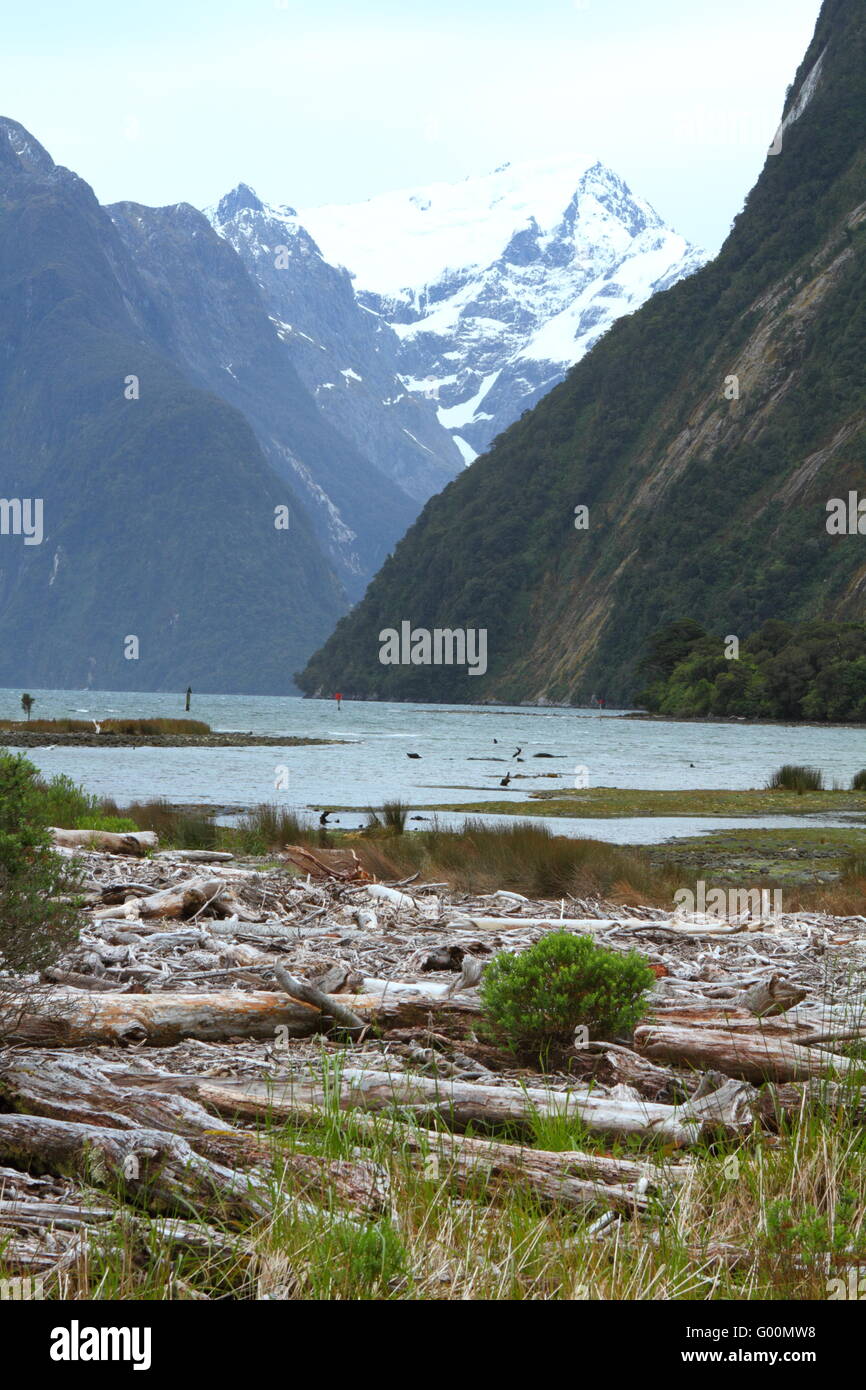 Mitre Peak in Milford Sound Stock Photo - Alamy