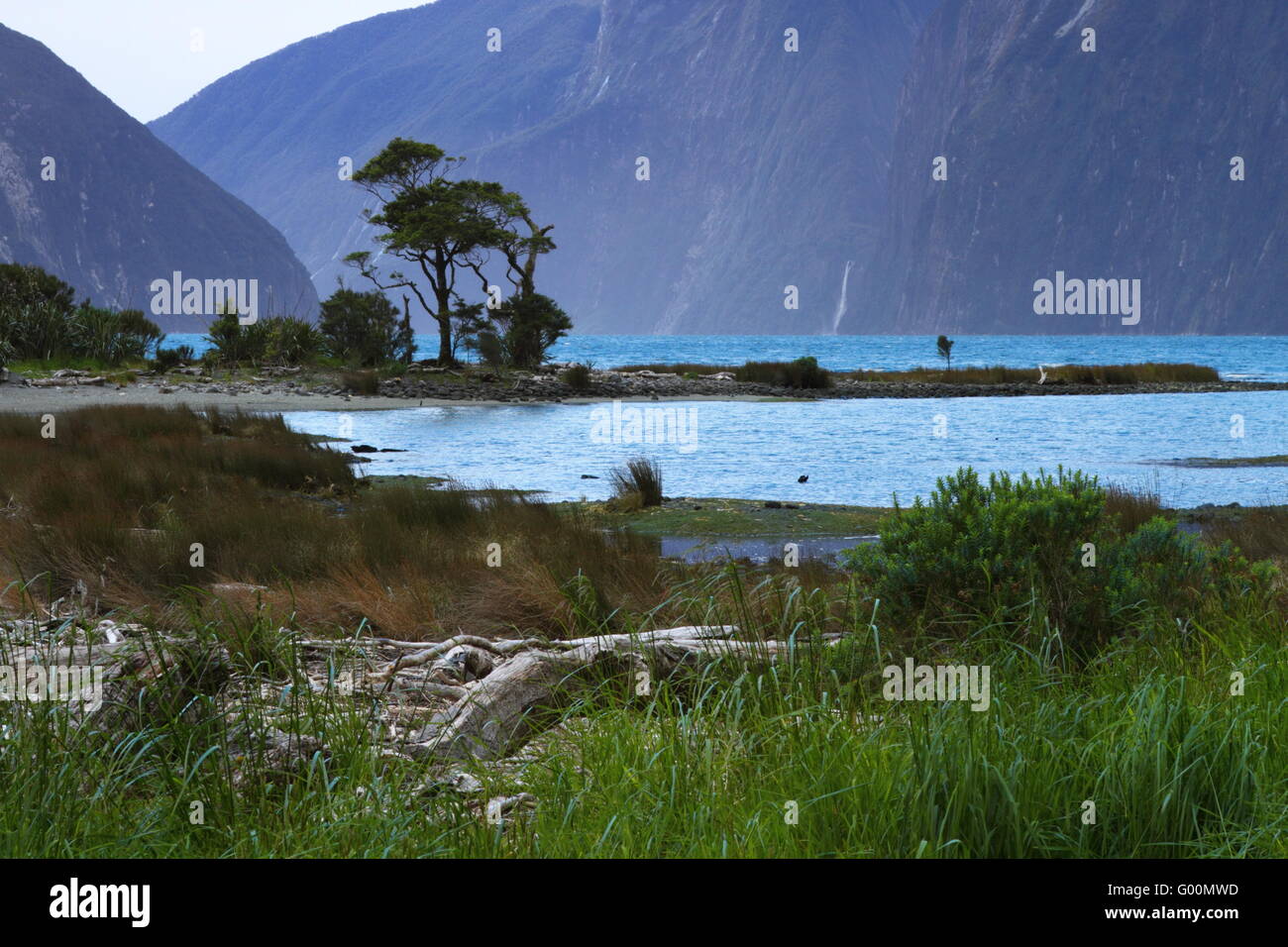 Mitre Peak in Milford Sound Stock Photo - Alamy