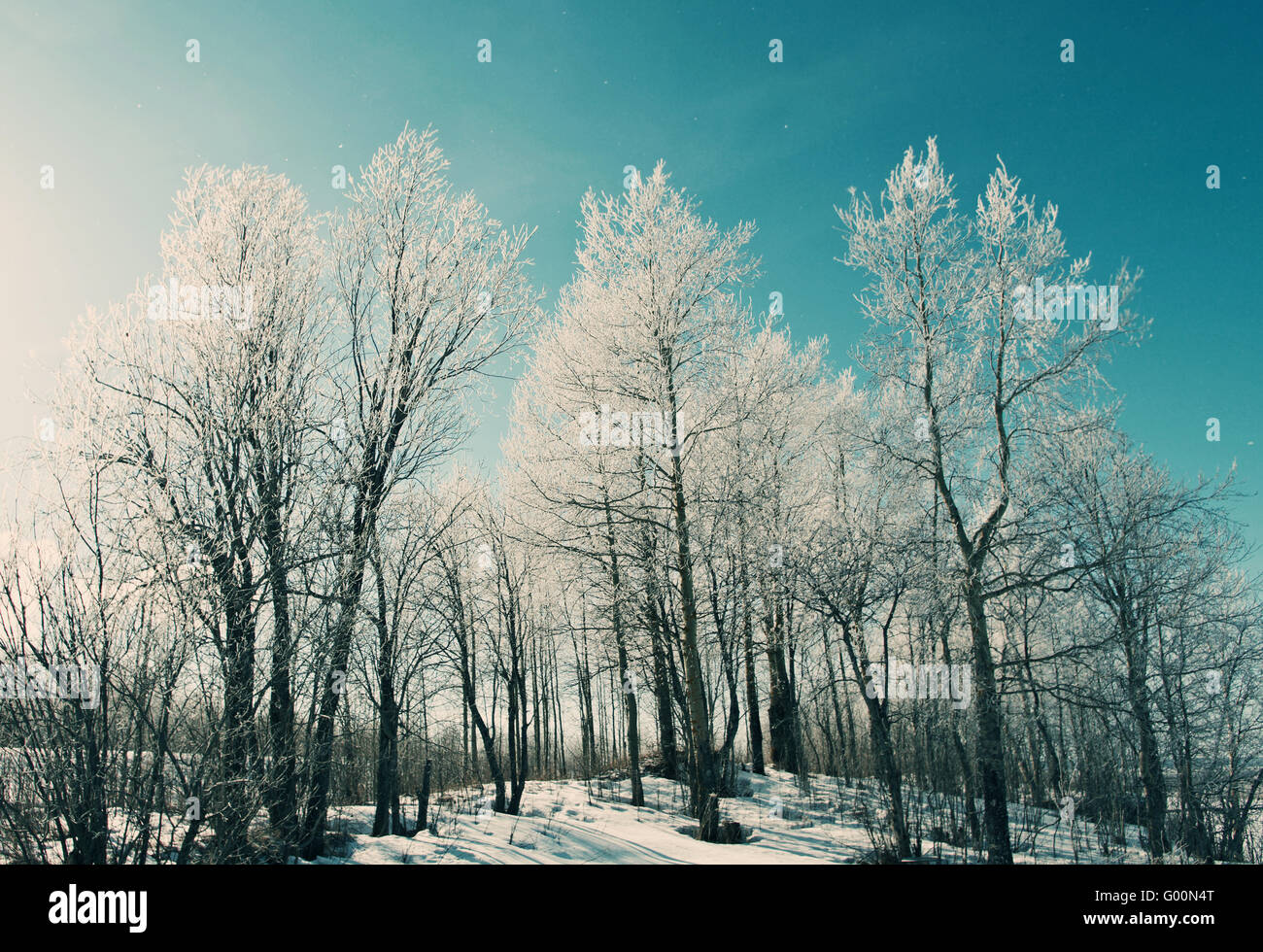 Winter landscape. frozen trees Stock Photo - Alamy