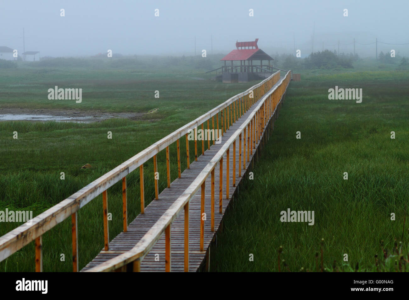 Bridge through grass Stock Photo - Alamy